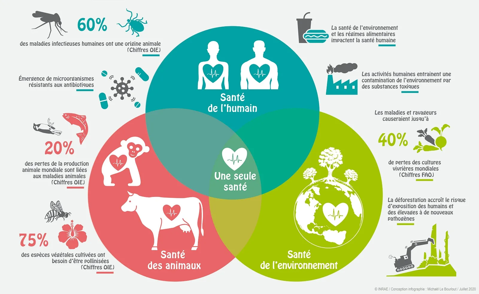 Une Seule Santé | Agence régionale de santé PACA